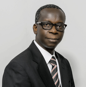 Board of Directors - Business Consulting & Training Services